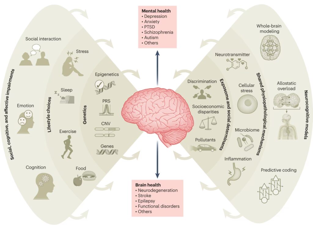 La Salud Cerebral Según la OMS | iNeurociencias