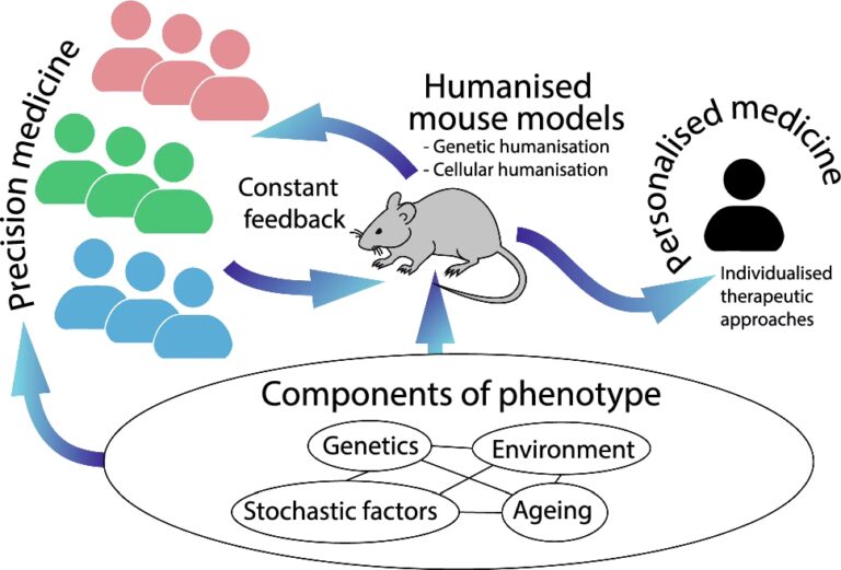 Ratones: Clave en Investigación Biomédica | iNeurociencias