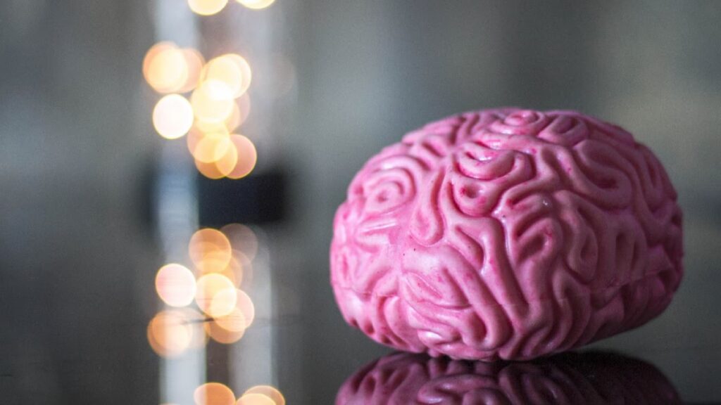 El Origen de la Teoria Cognitiva de Piaget | iNeurociencias