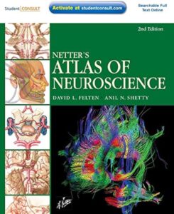 Atlas de Anatomía Humana de Netter | iNeurociencias