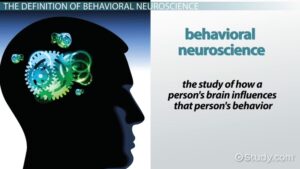 Inteligencia y Tests en Psicología AP | iNeurociencias