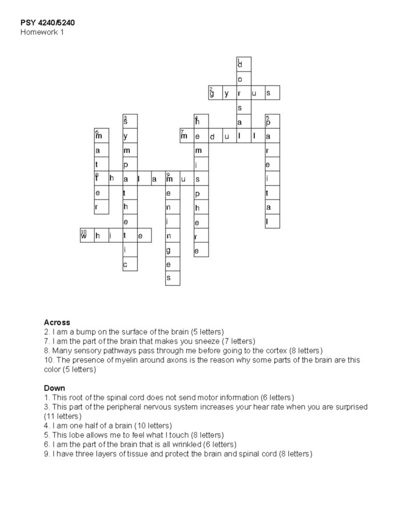 Puzzles: ¿El Secreto para un Cerebro Ágil? | iNeurociencias