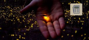 El Fascinante Mundo de la Bioluminiscencia | iNeurociencias