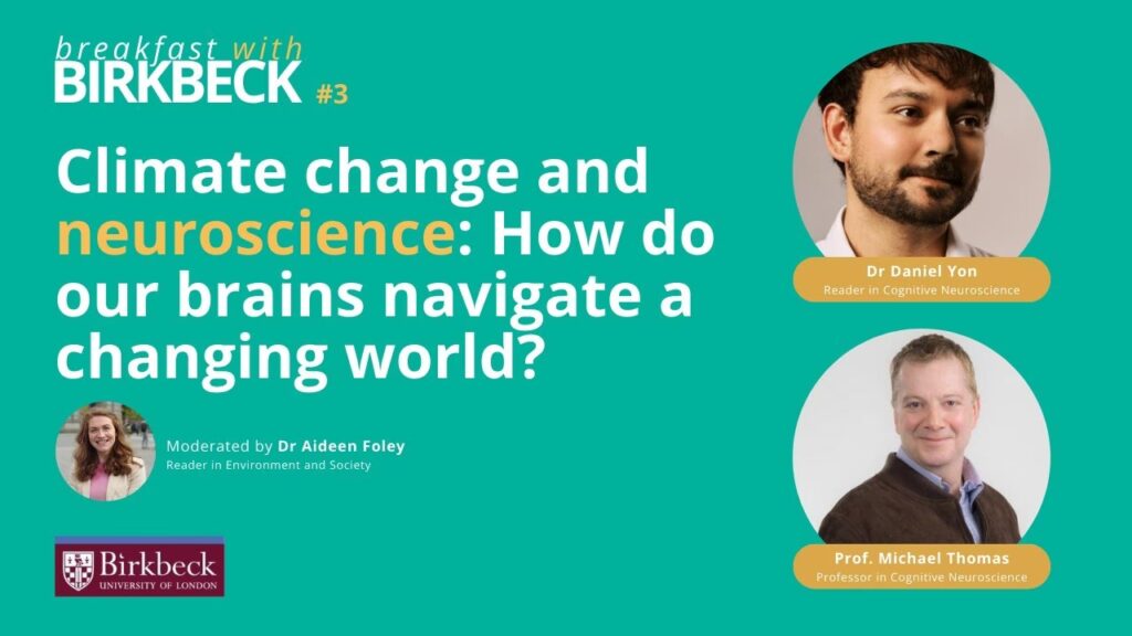 Birkbeck: Reputación, Estudios y Ventajas Únicas | iNeurociencias