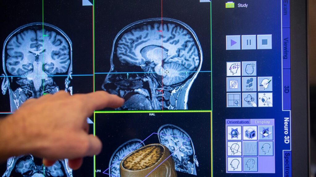 Principios Fundamentales de la Neurobiología | iNeurociencias