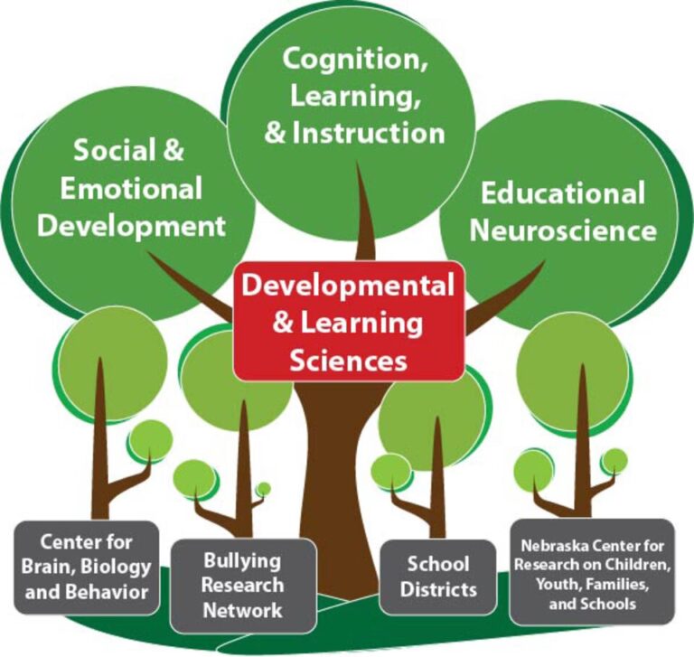 Neuroeducación: Cómo Aprende Tu Cerebro | iNeurociencias