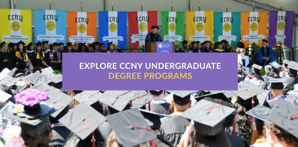 Explora las Carreras en CCNY: Tu Futuro Académico | iNeurociencias