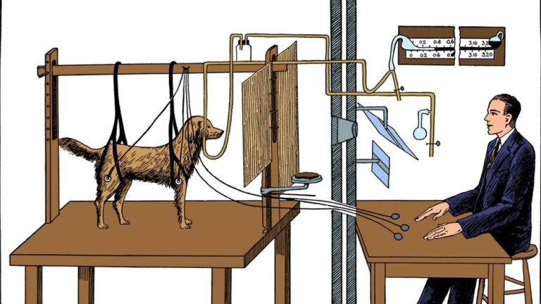 Condicionamiento Clásico: Teoría de Pavlov | iNeurociencias
