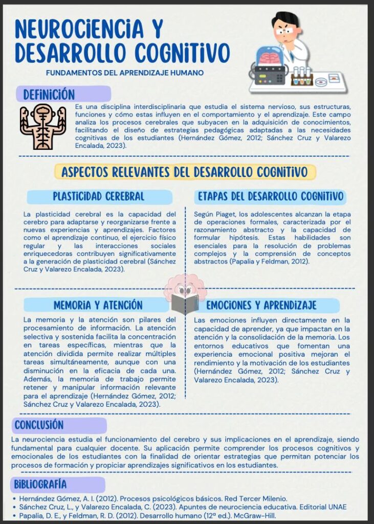 Teoría de Papalia: Desarrollo Infantil | iNeurociencias