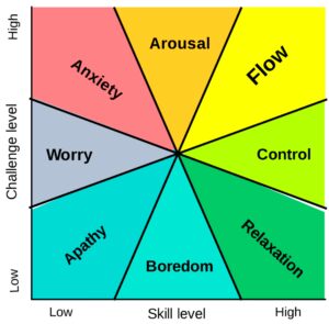 Neurociencia del Estado de Flow | iNeurociencias