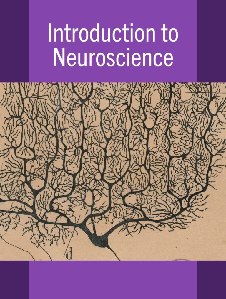 Neurociencia: ¿Dónde Estudiar y Por Qué? | iNeurociencias