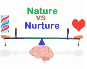 Naturaleza vs Crianza en Neurociencia | iNeurociencias