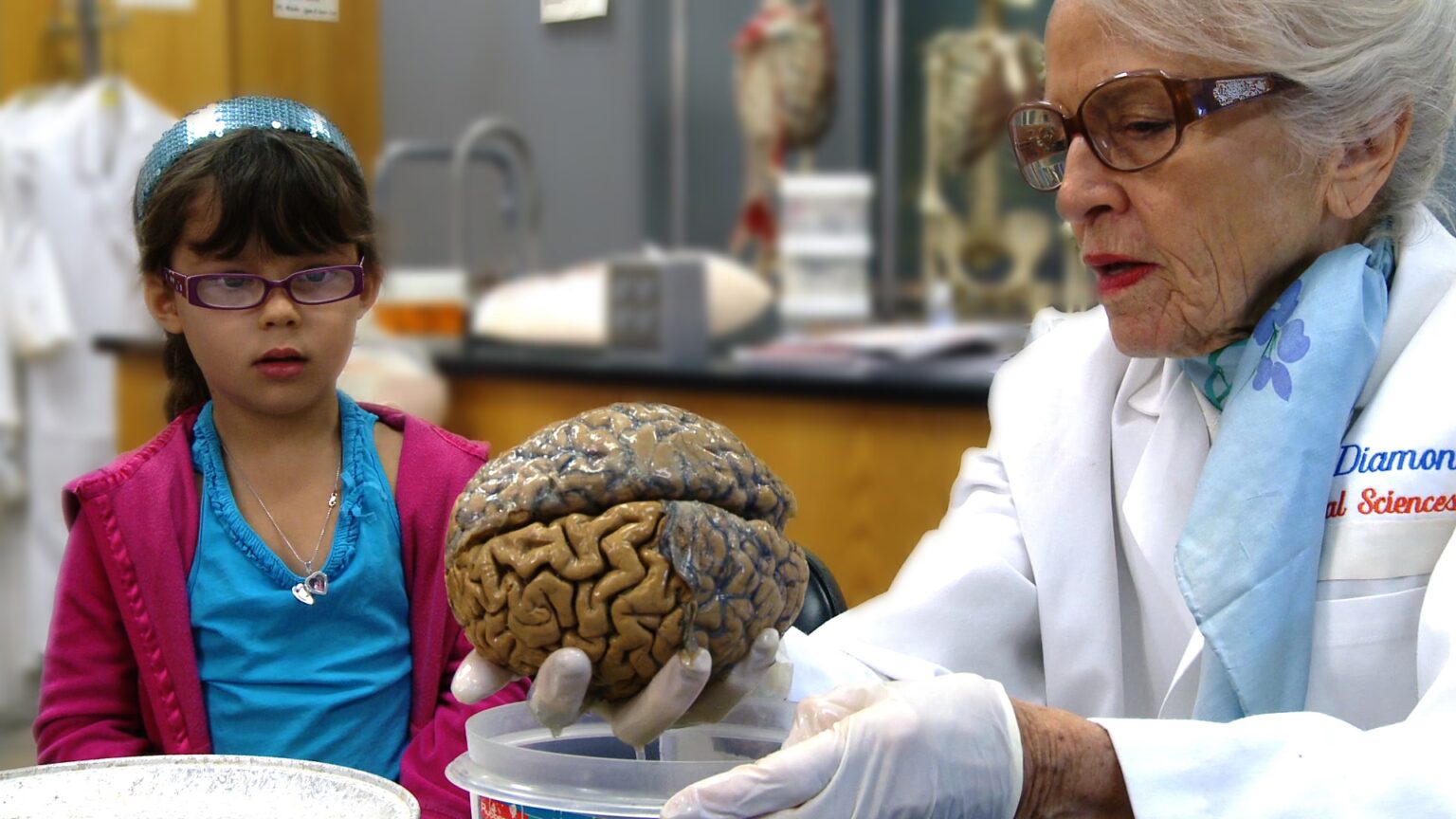 Marian Diamond: La Pionera de la Neuroplasticidad | iNeurociencias