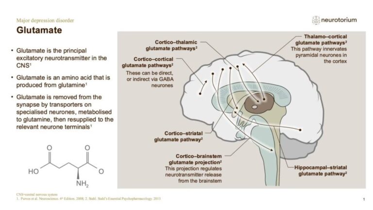 Química Cerebral y Depresión | iNeurociencias