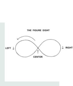 Cruzar la Línea Media: Clave del Desarrollo Cerebral | iNeurociencias