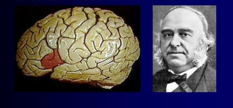 Paul Broca y el Lenguaje en el Cerebro | iNeurociencias