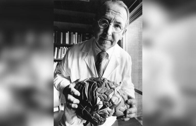 Cerebro Triuno: Un Modelo Evolutivo Obsoleto | iNeurociencias